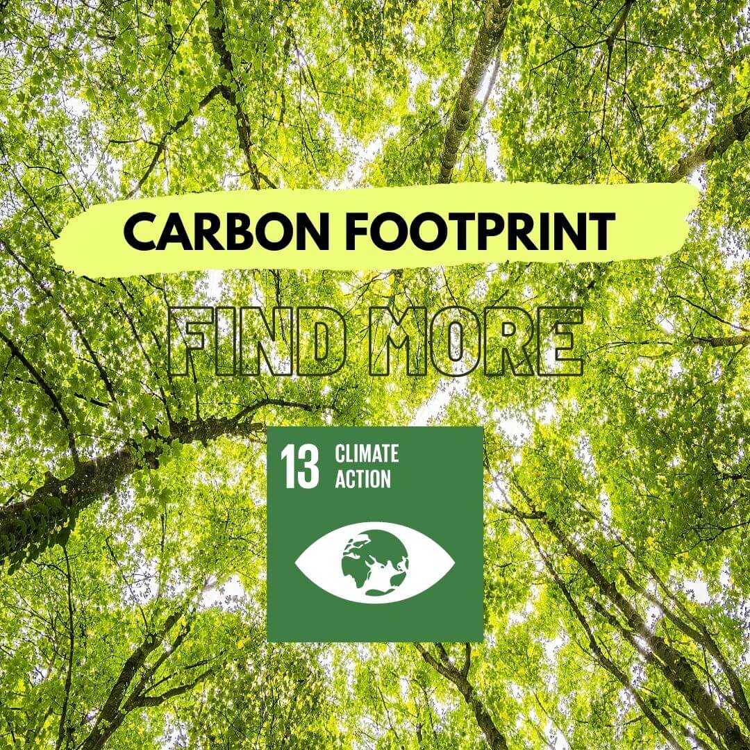 Carbon Footprint Consultant | Independent Assessment - Reporting