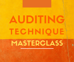 Auditing Technique Masterclass | Management Systems | Consultivo